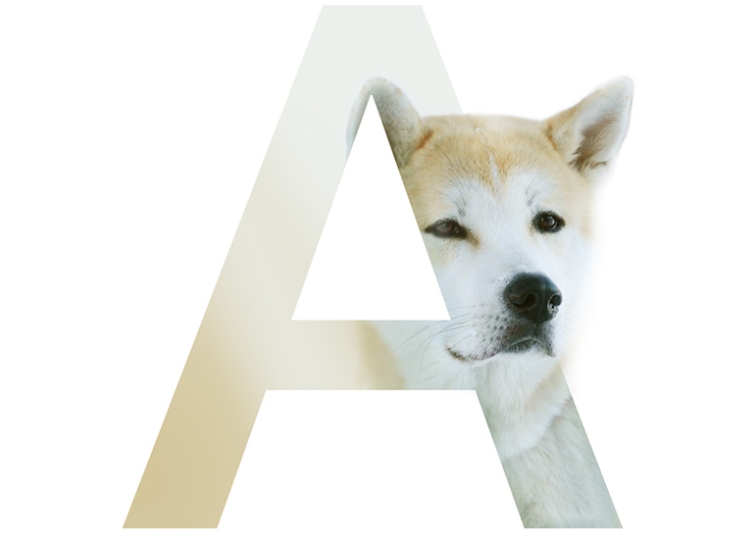Creator Makes Charming In sequential order Arrangement Of Dog Breeds ...