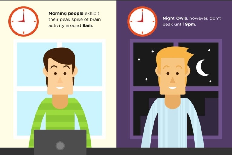 How to Become More of a Morning Person (Infographic)